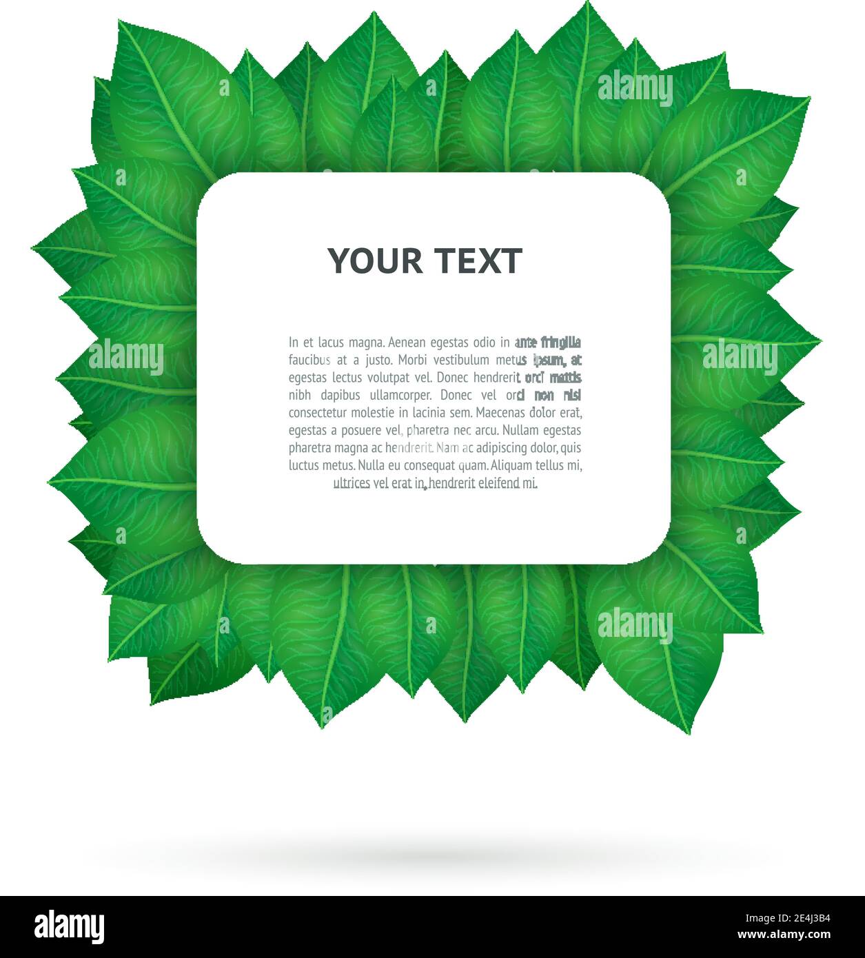 Green leaves frame template isolated vector illustration Stock Vector ...