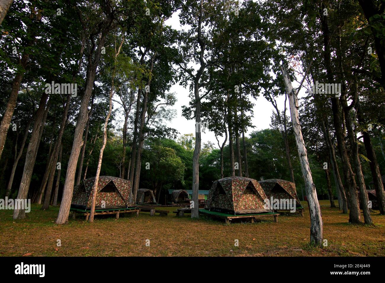 camping tents at the outdoor camp site with nature background Stock ...