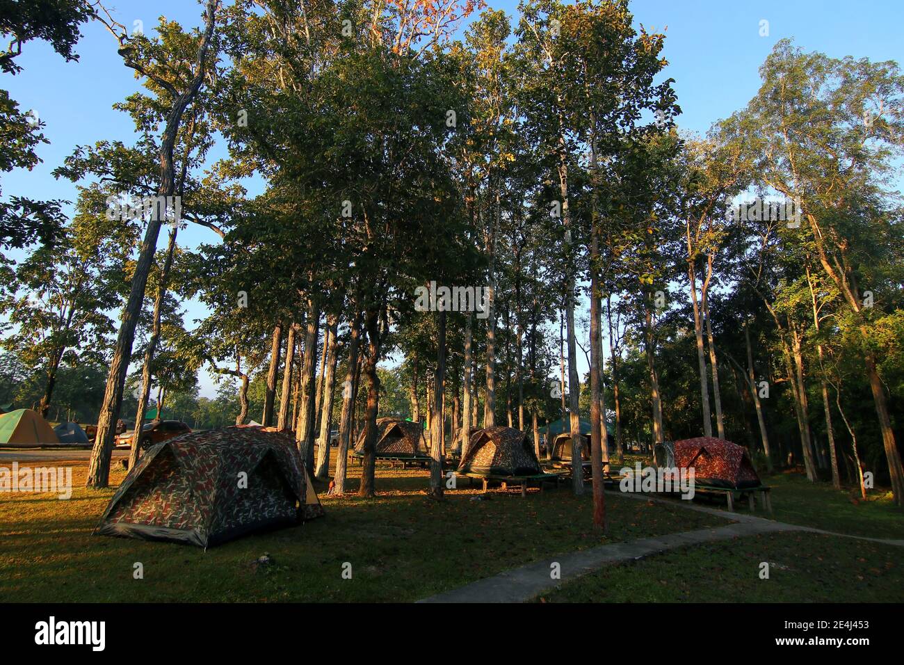 camping tents at the outdoor camp site with nature background Stock ...