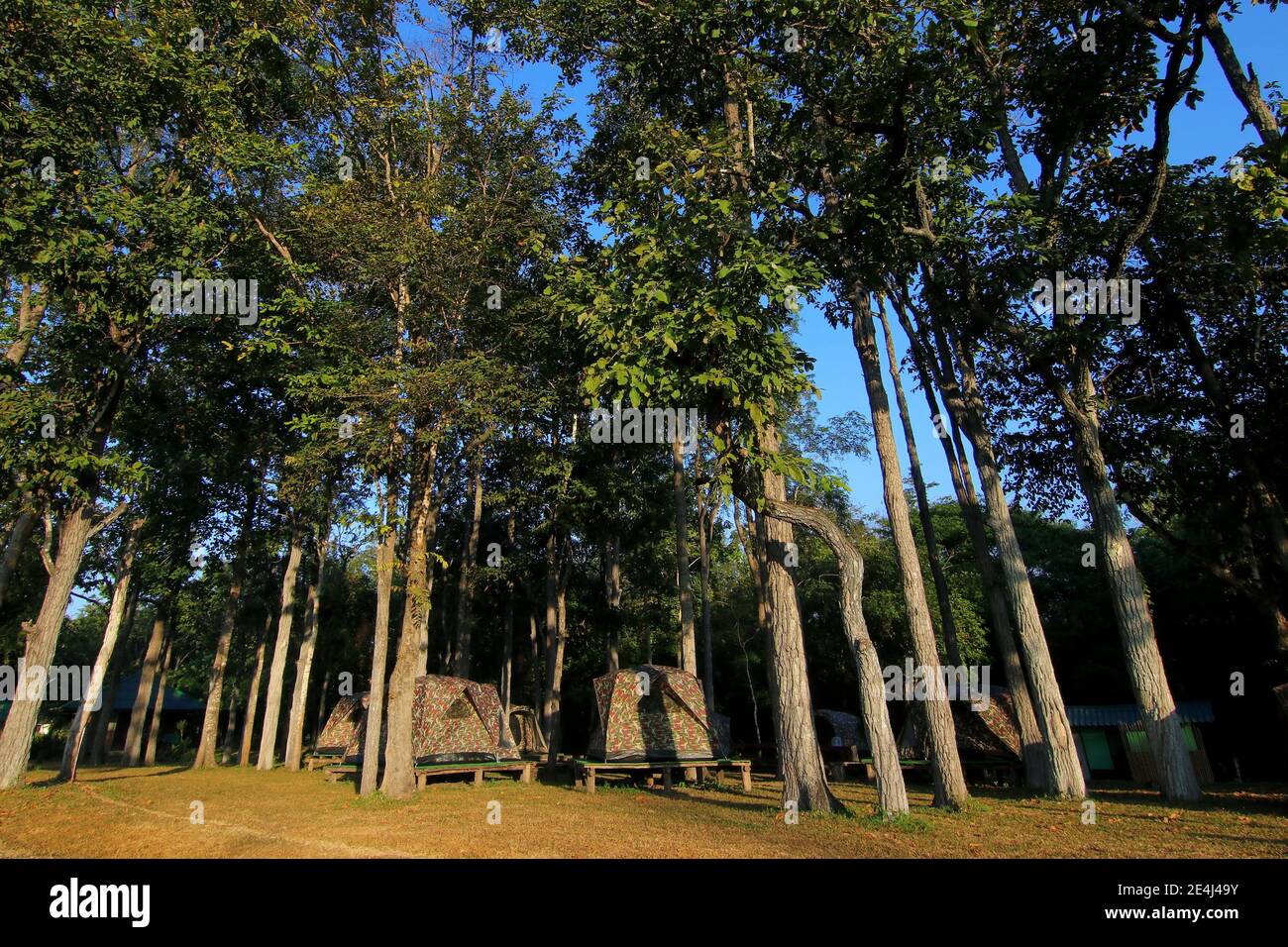 camping tents at the outdoor camp site with nature background Stock ...
