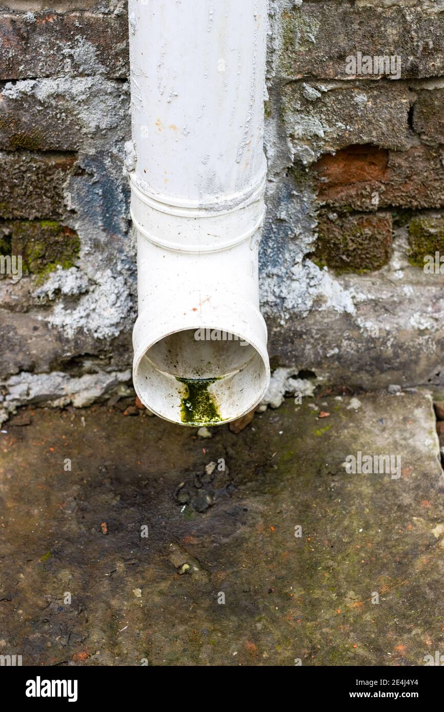 Dirty water drain with pvc white pipe Stock Photo - Alamy
