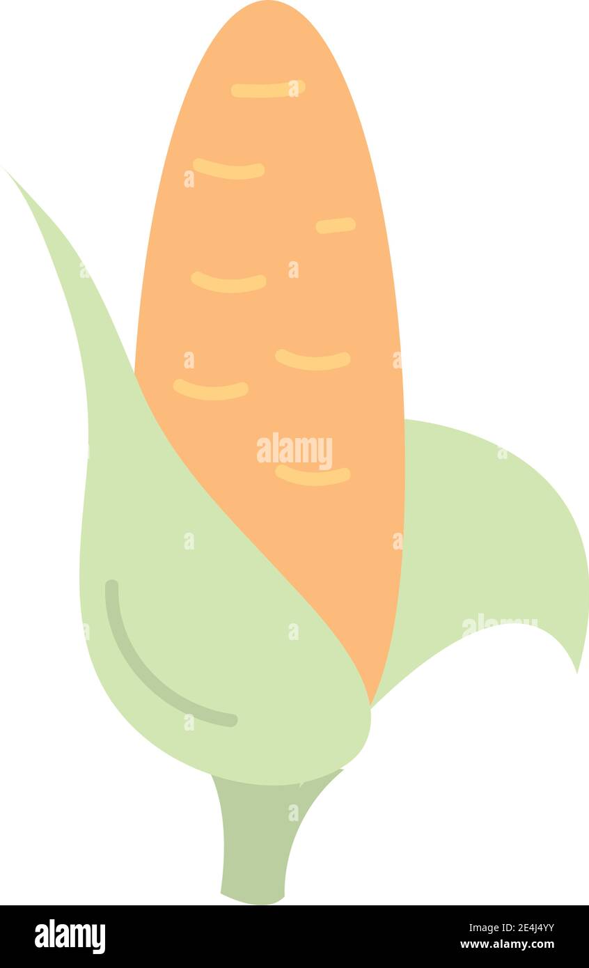 Corn design, Food vegetable agriculture green and plant theme Vector ...