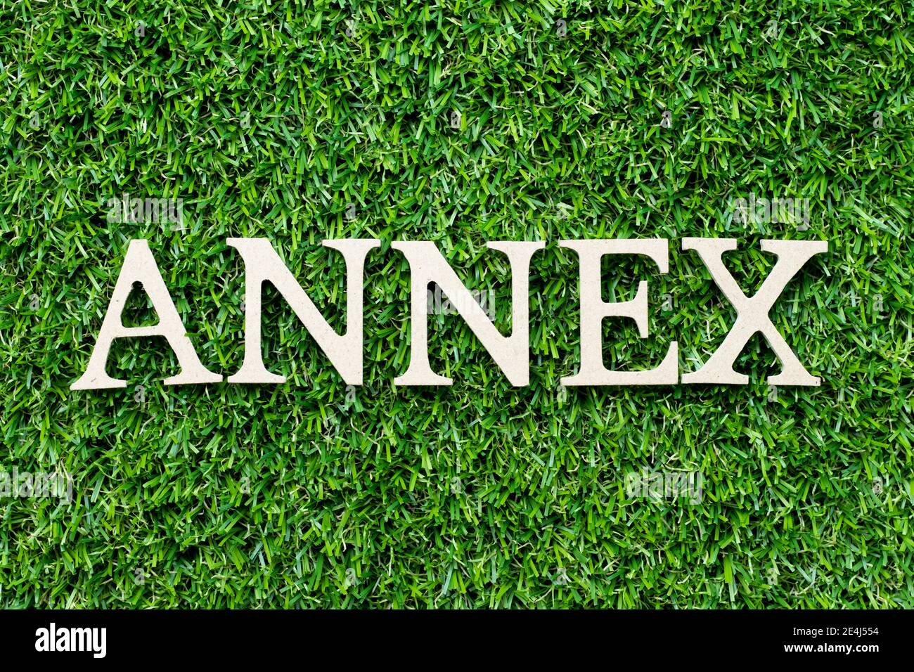 Wood alphabet letter in word annex on green grass background Stock ...