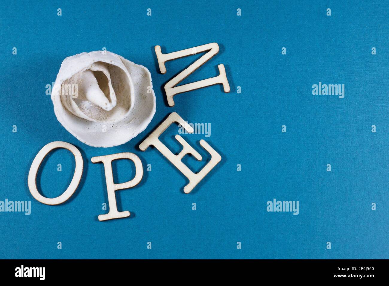 Open seashell hi-res stock photography and images - Alamy