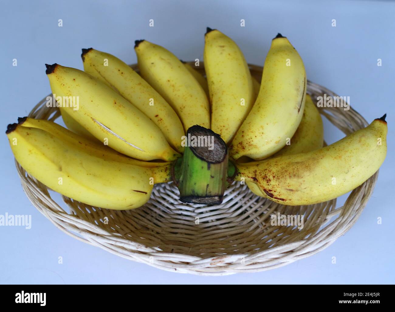 Latundan banana or Pisang Raja Sereh on rattan plate. White background ...