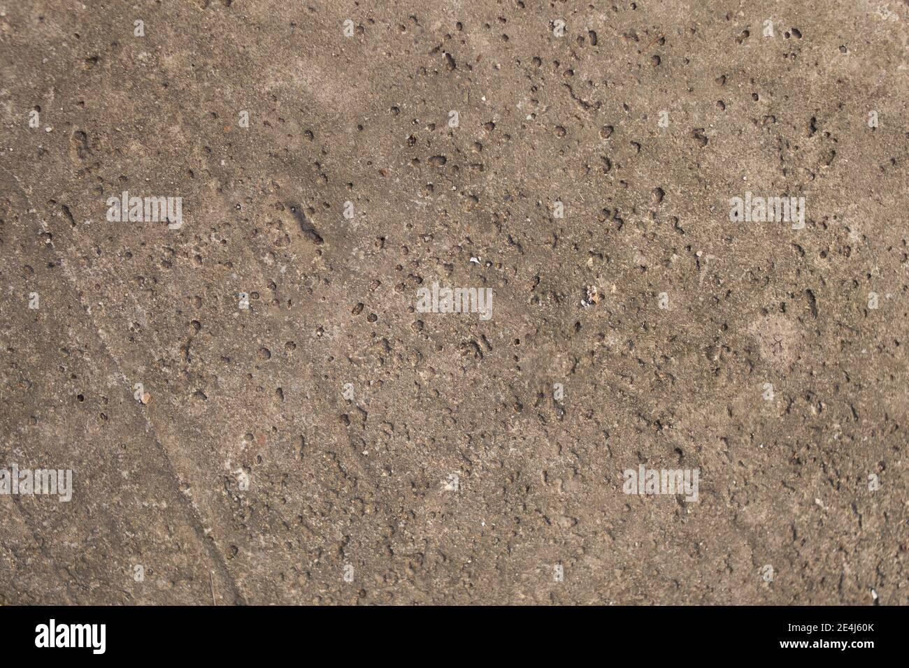 Shell rock limestone texture background Stock Photo - Alamy