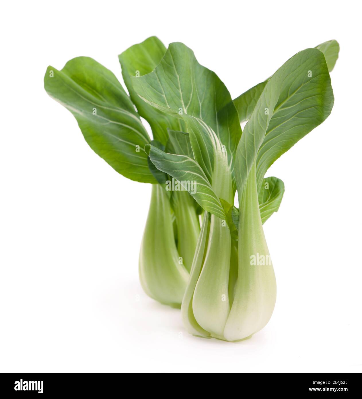 Bok choy vegetable on white background Stock Photo - Alamy