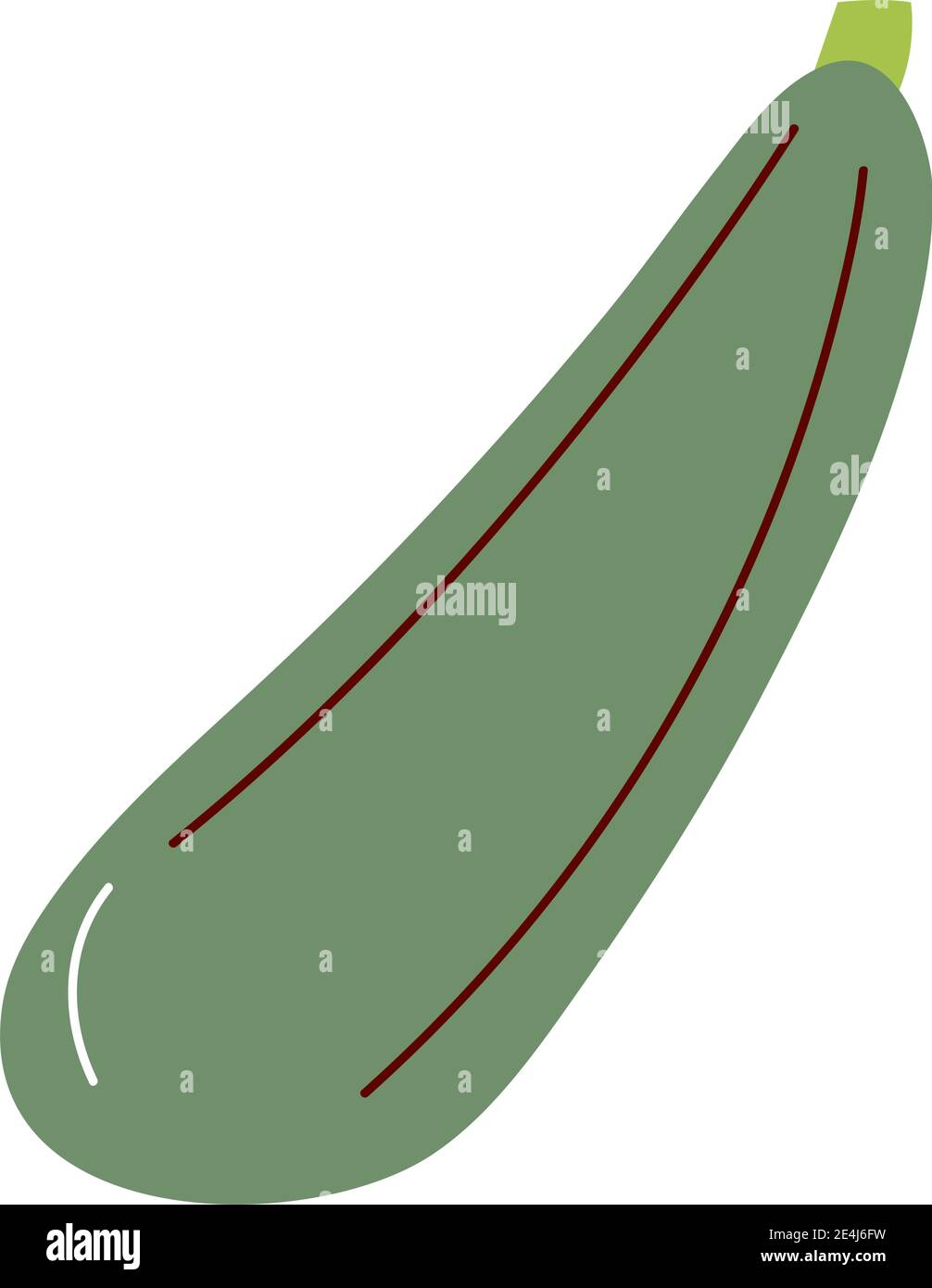 cucumber vegetable design, food organic and healthy theme Vector ...