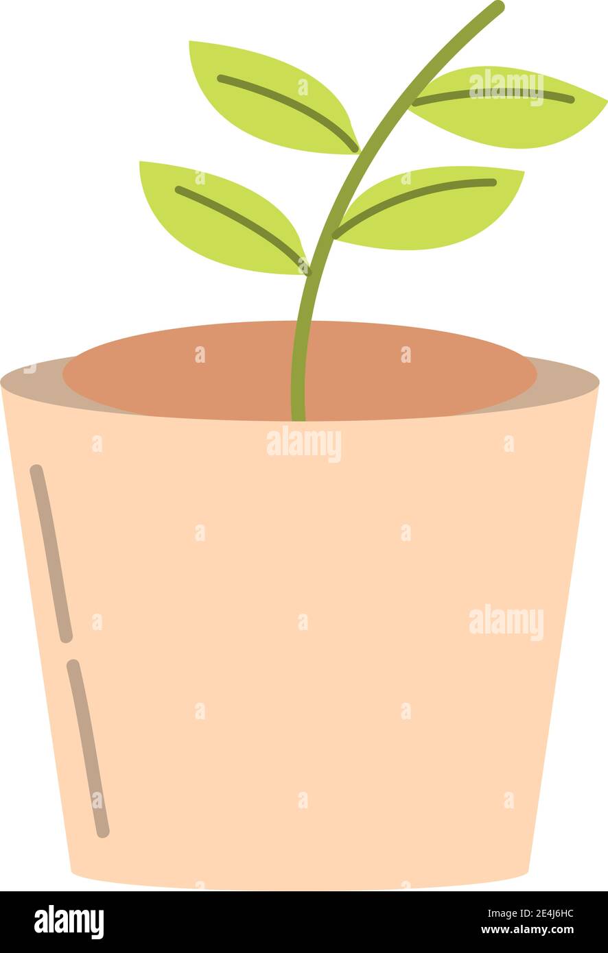 Plant inside pot design of Floral nature garden and ornament theme ...