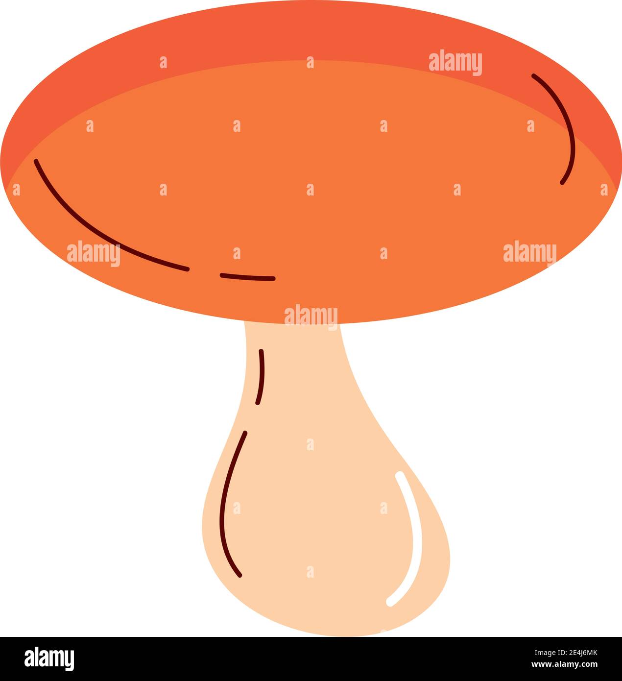 fungi mushroom design, nature fungus food forest plant and autumn theme ...