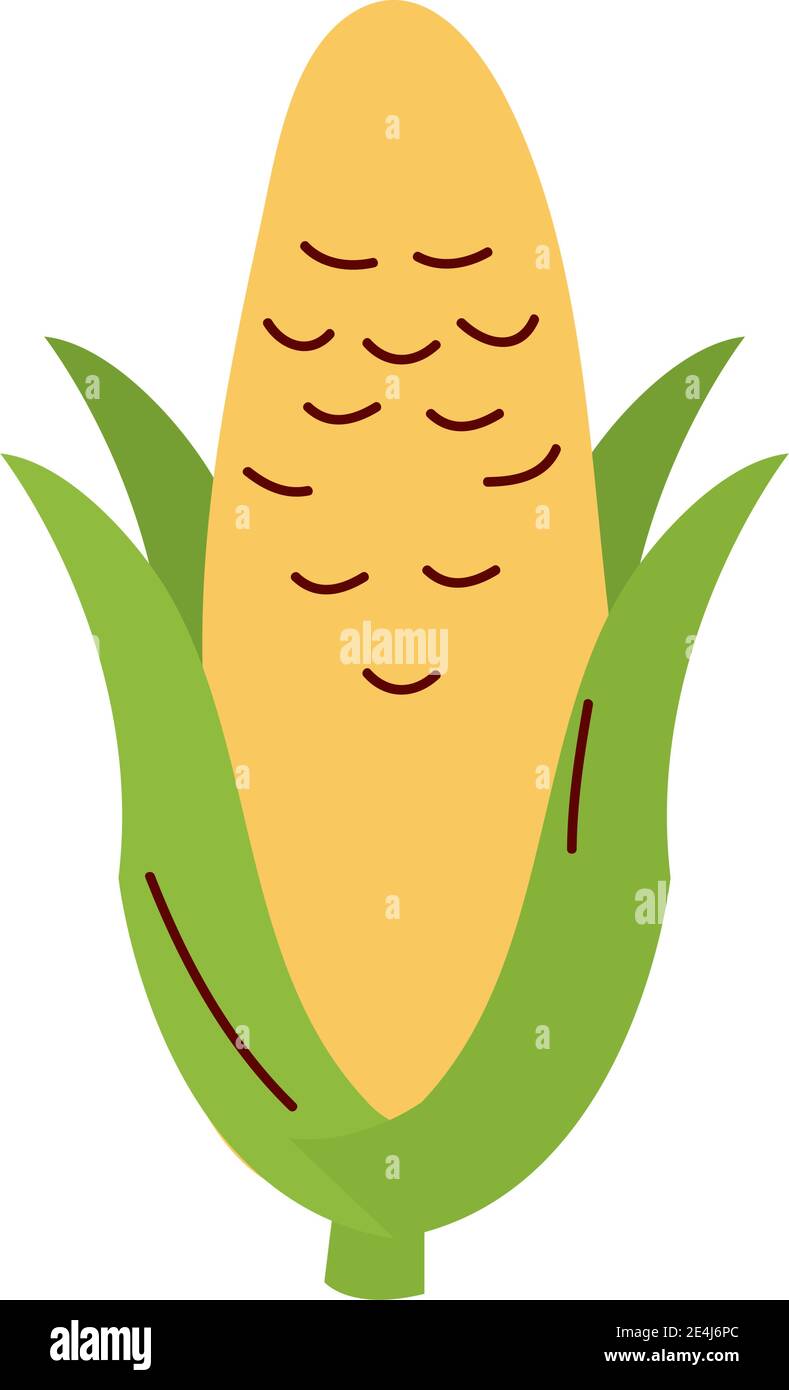 Corn design, Food vegetable agriculture green and plant theme Vector ...