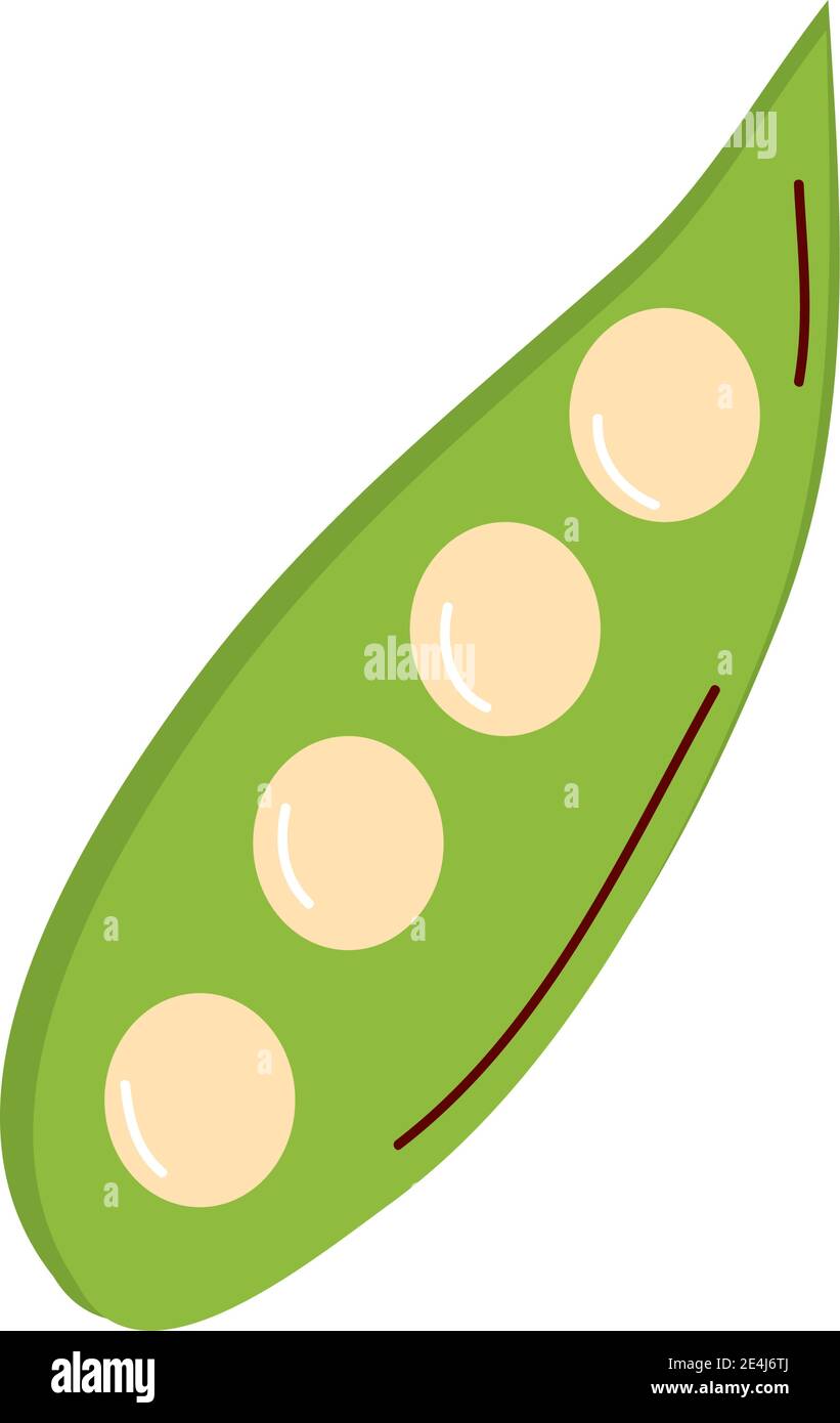 green beans vegetable design, food organic and healthy theme Vector ...