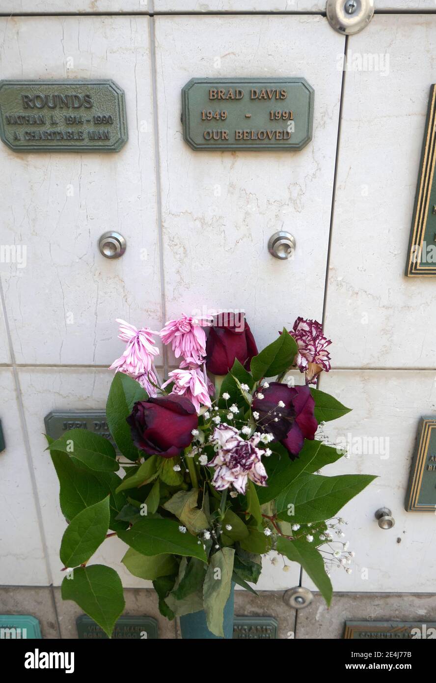 Los Angeles, California, USA 21st January 2021 A general view of ...