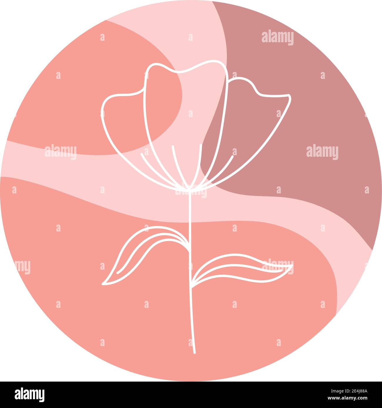 highlight cover flower abstract floral botanical vector illustration ...