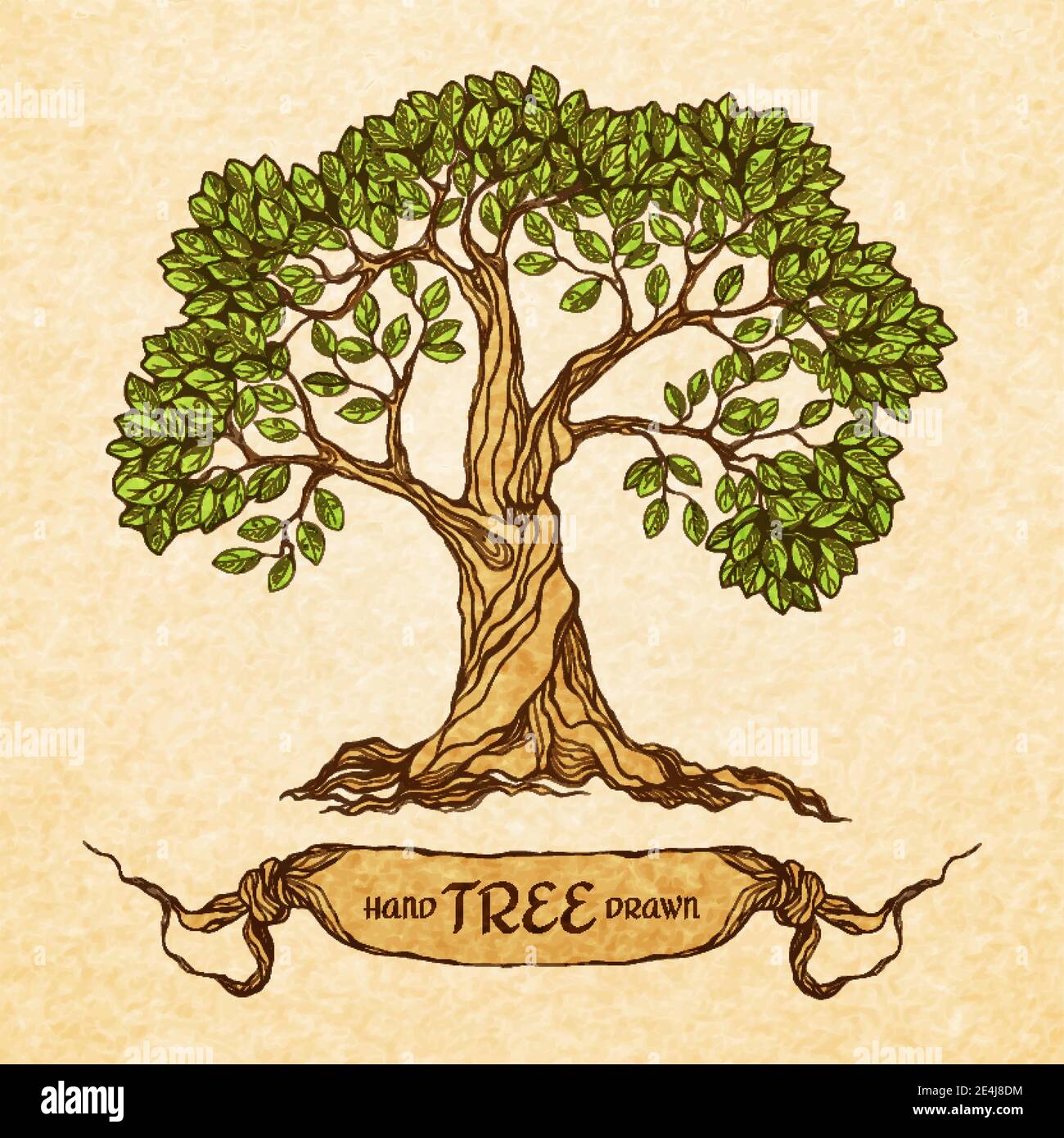 Green tree with place for text vector illustration Stock Vector Image ...