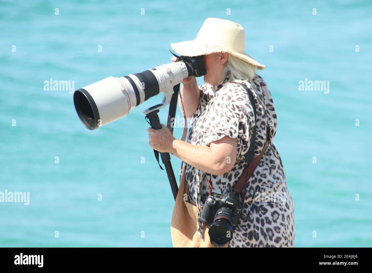 Telephoto zoom lens hi-res stock photography and images - Alamy