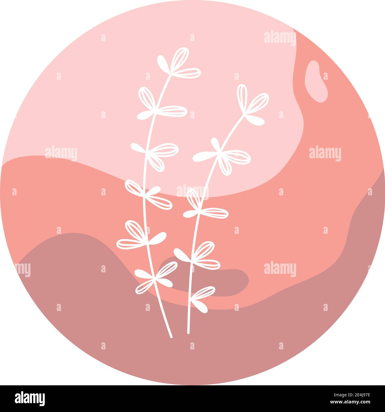 highlight cover abstract floral nature botanical vector illustration ...