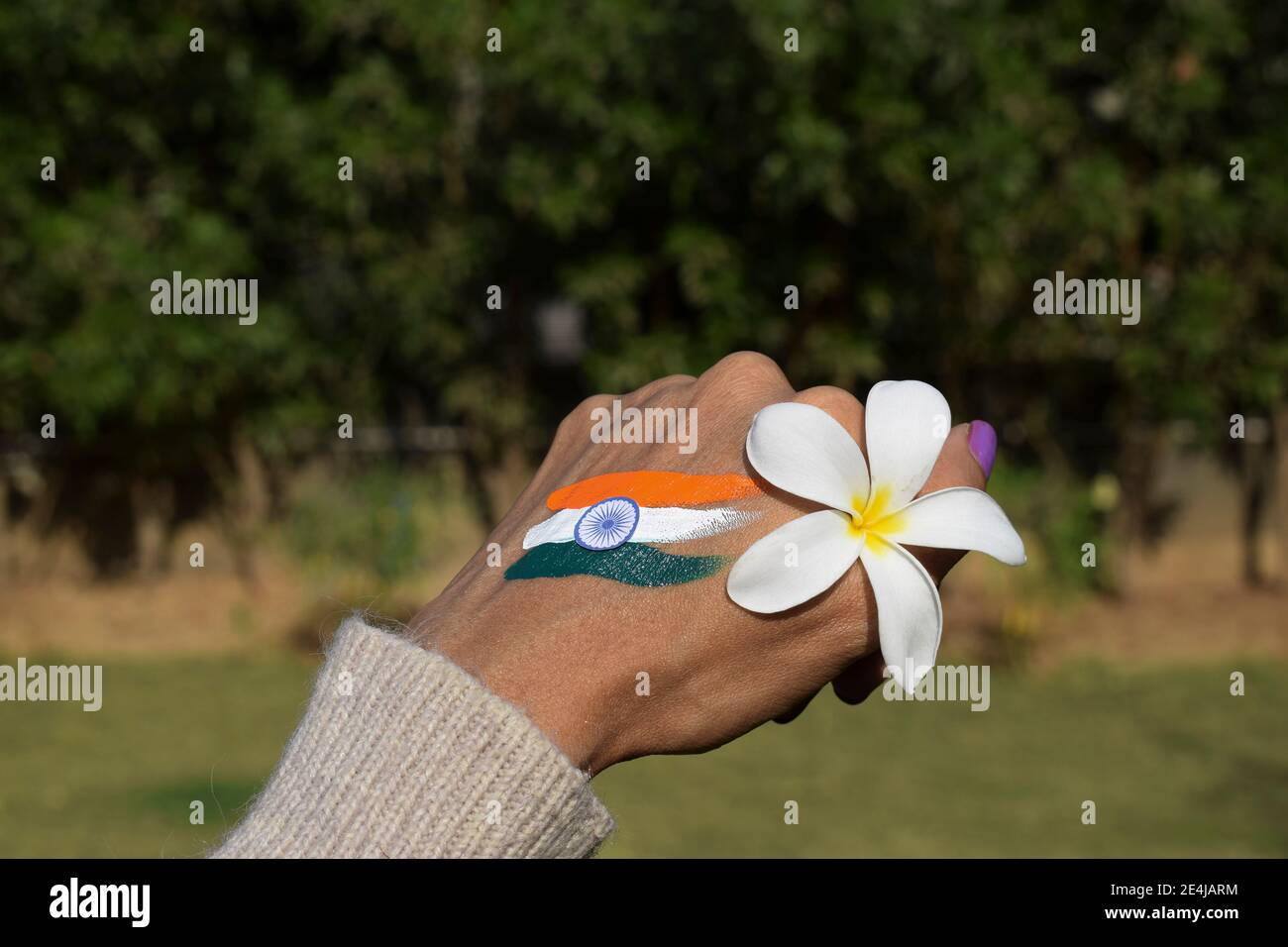 Female with Indian flag tri color tattoo on back of hand on occasion of ...