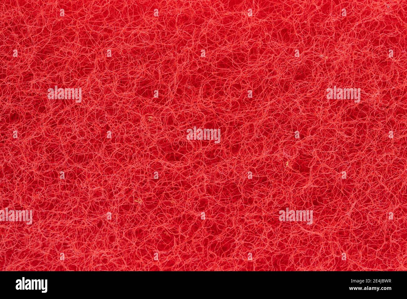 Sponge detail texture, sponge texture background. Closeup, macro Stock ...