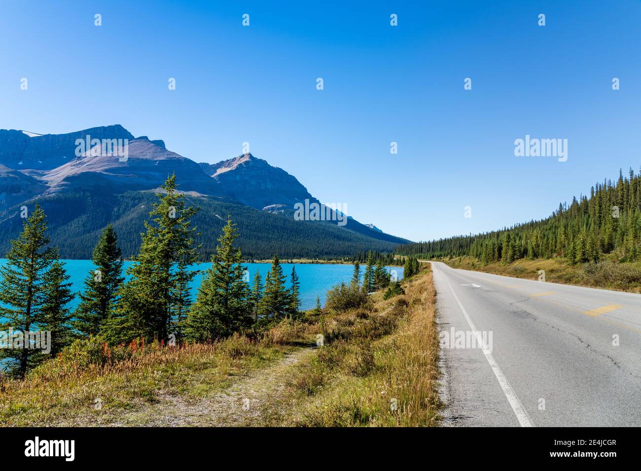 Bow lake at alberta highway 93 hi-res stock photography and images - Alamy