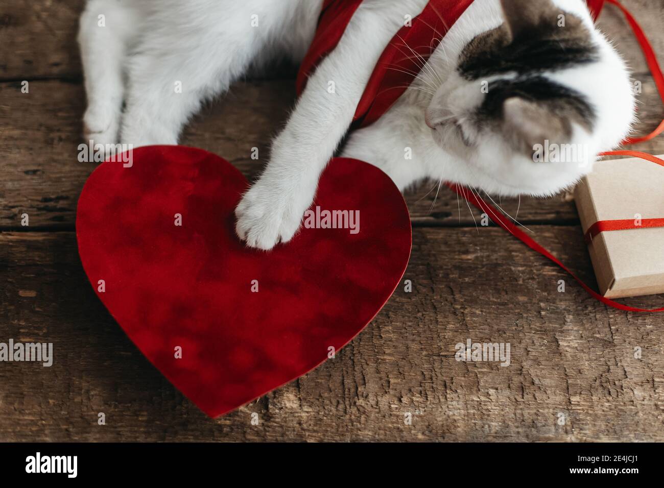 Cute cat holding red velvet heart on rustic wooden background with gift ...
