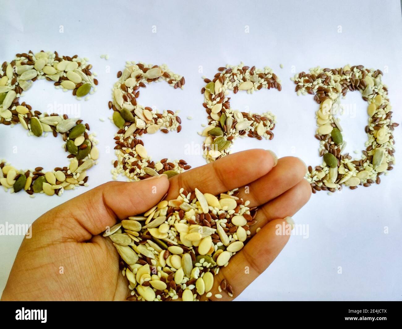 Different seeds in a hand with the word seed on a white background ...