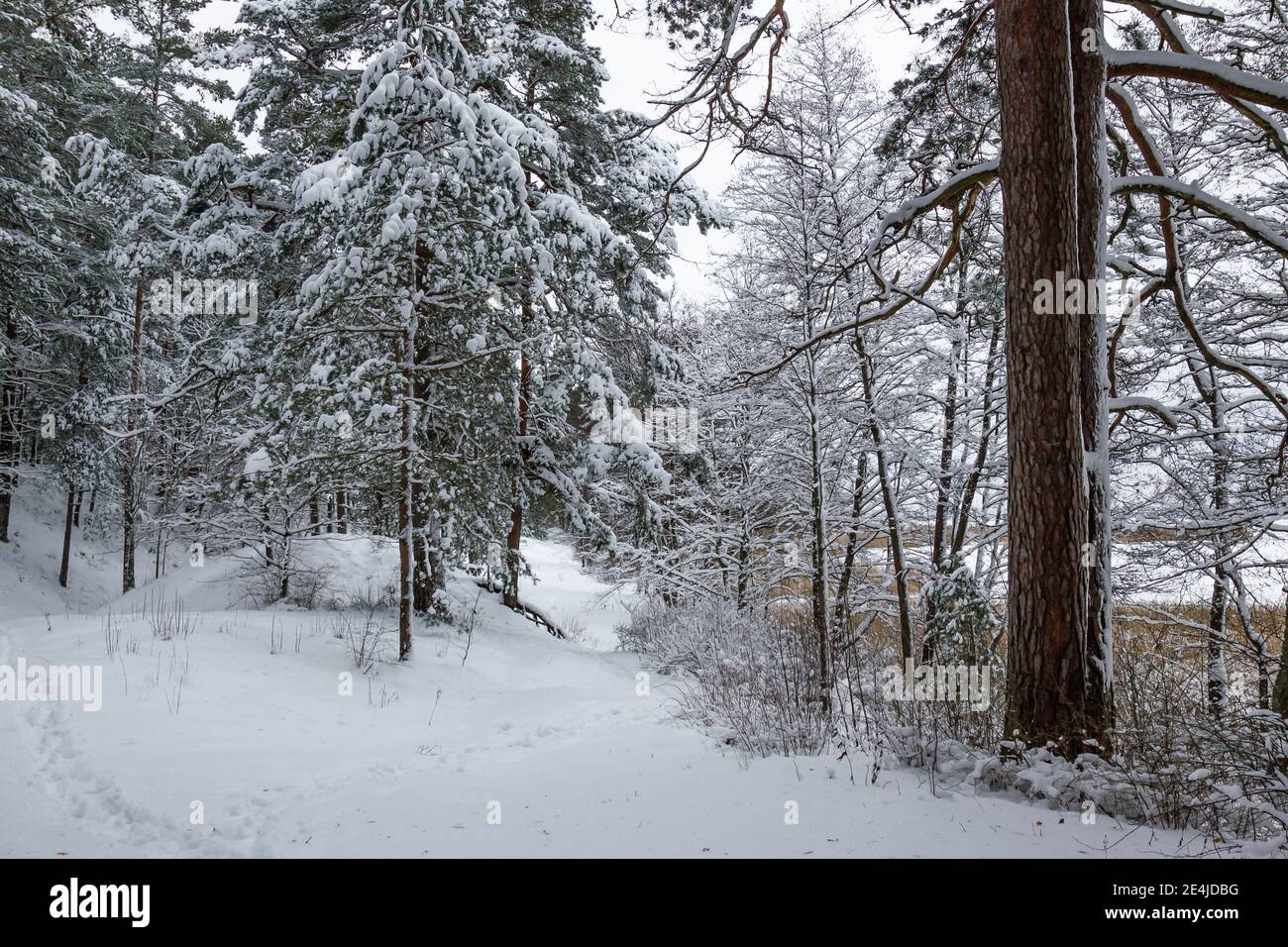 Snowy path by the icy lake Stock Photo - Alamy