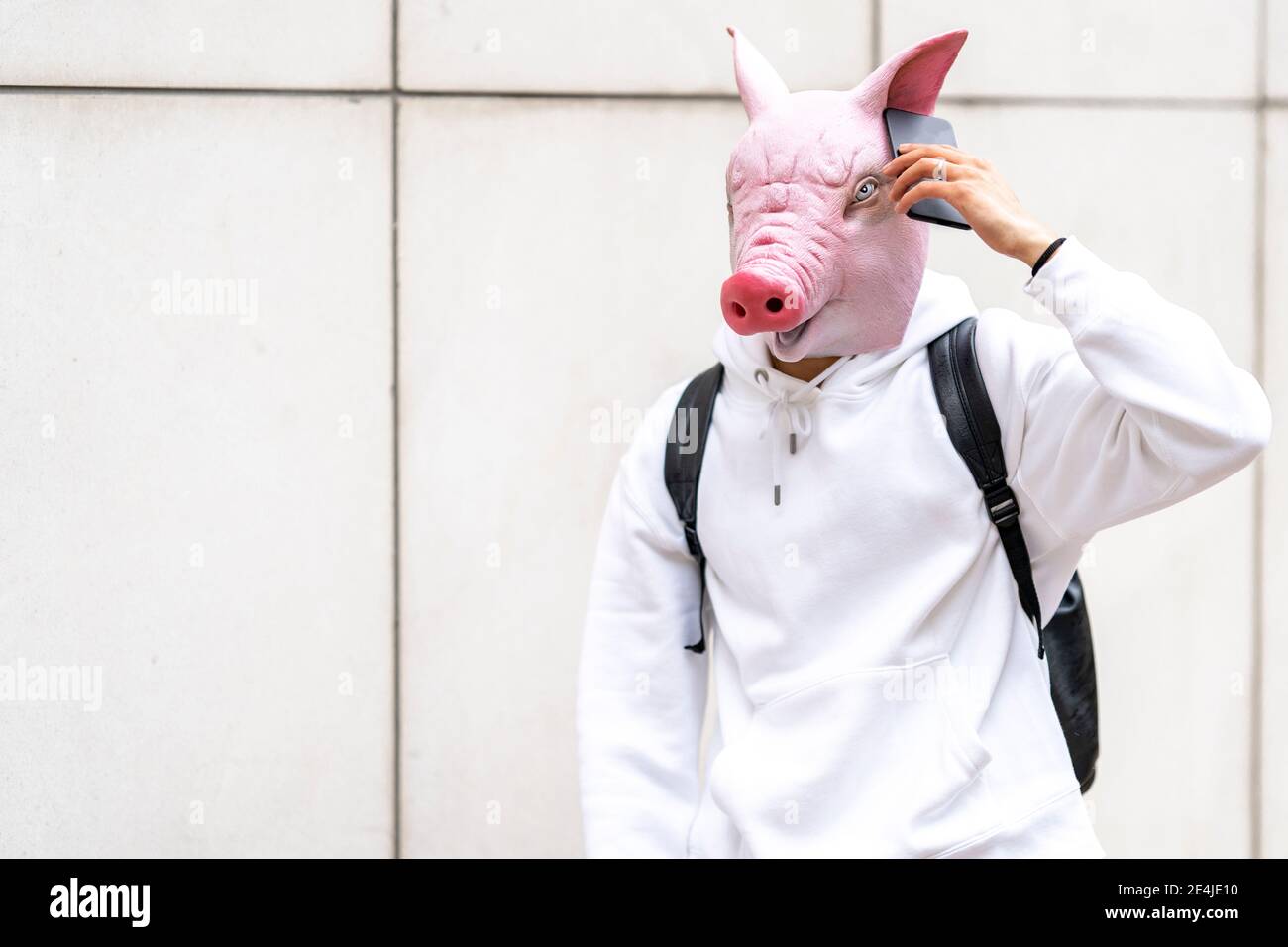 Porky Pig Mask