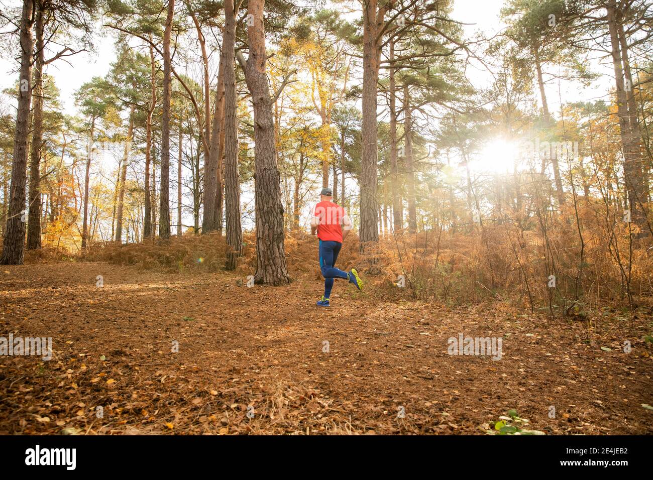 Man jogging at sunrise hi-res stock photography and images - Alamy