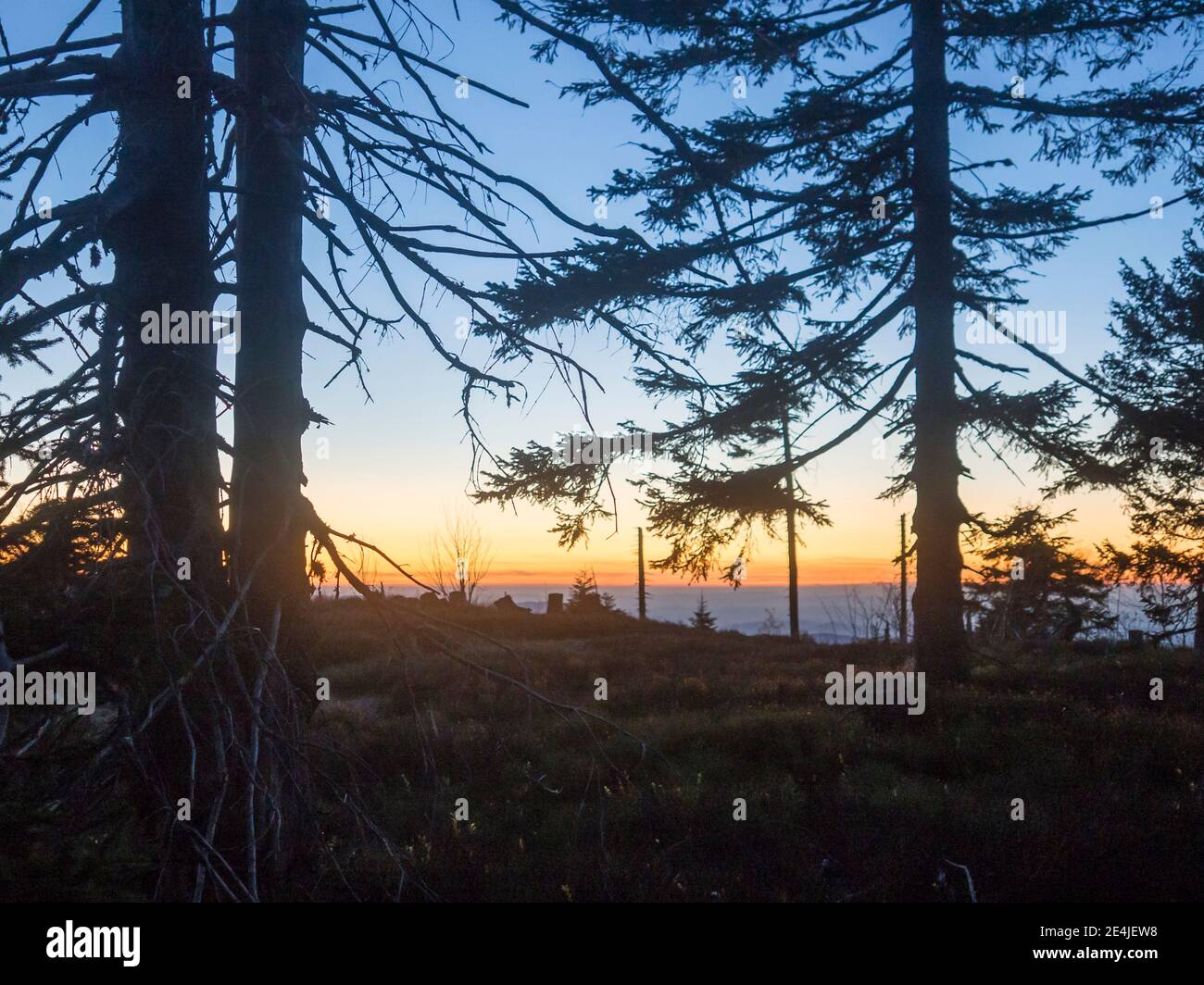 Sunset forest hi-res stock photography and images - Alamy