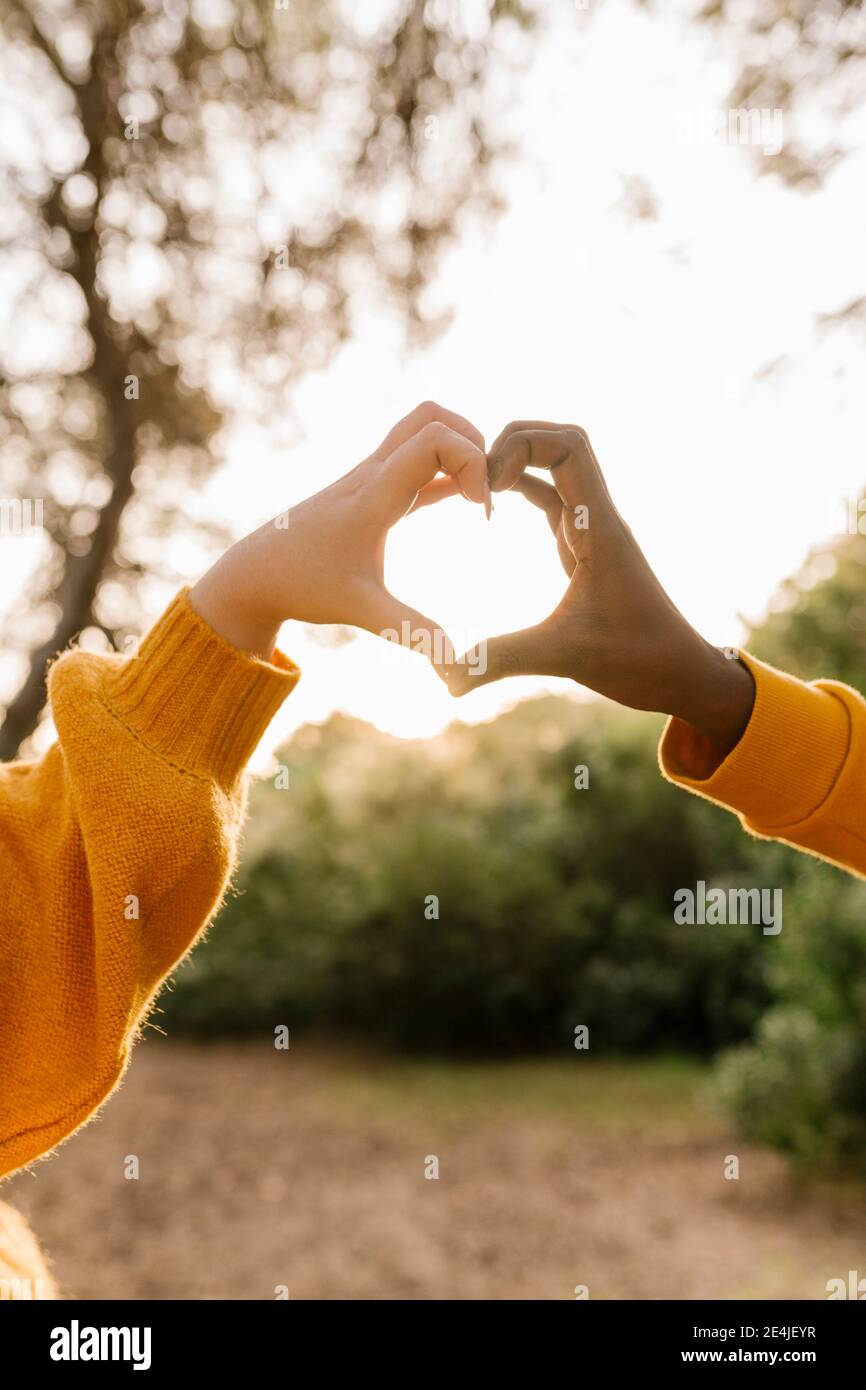 Couple making heart shape with hands at forest Stock Photo - Alamy