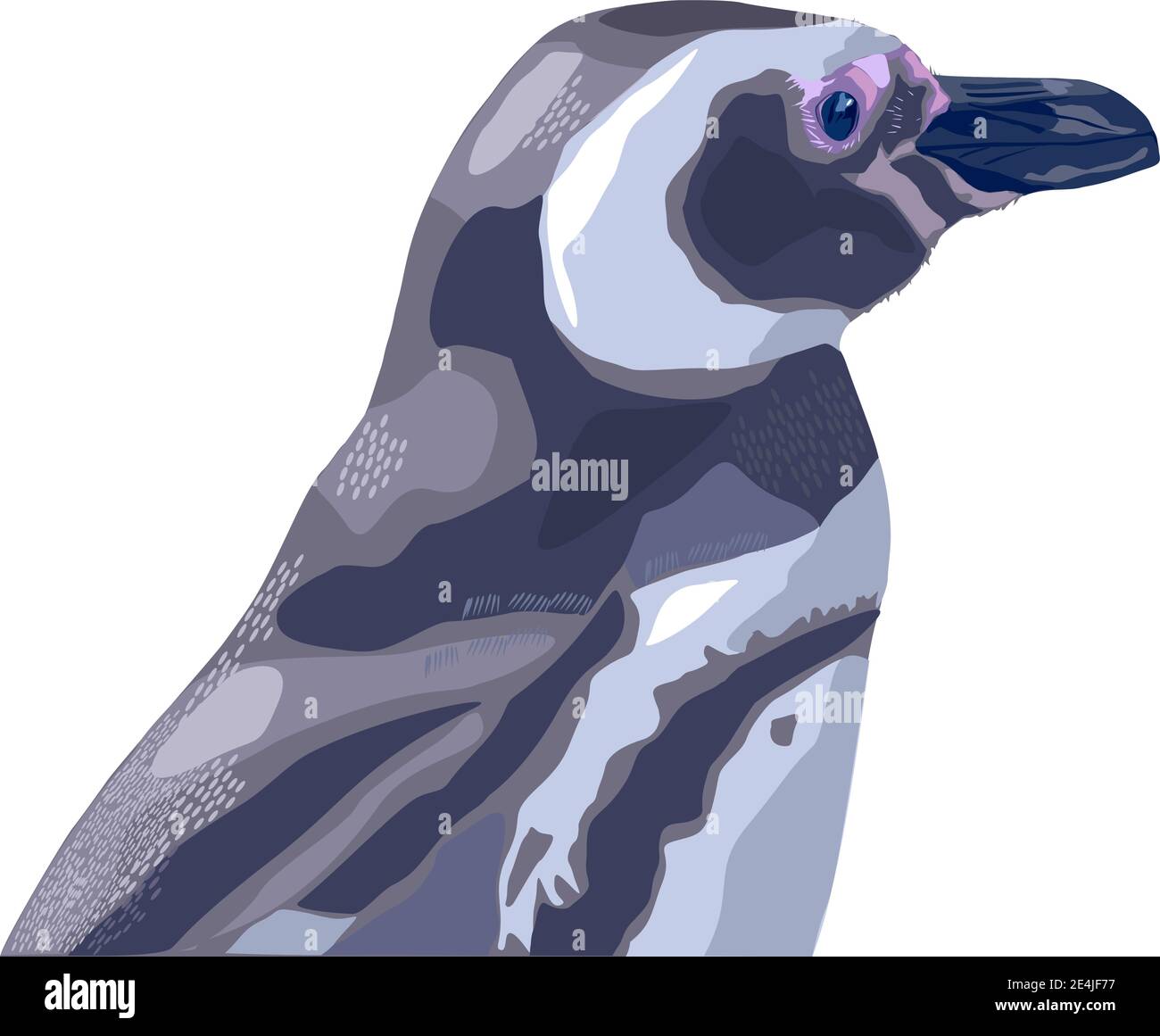 Profile portrait of a Magellanic penguin. Wild animal. Hand drawn ...