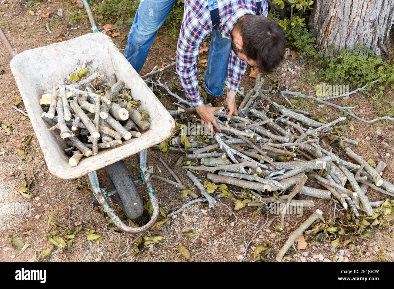 Sticks standing up hi-res stock photography and images - Alamy