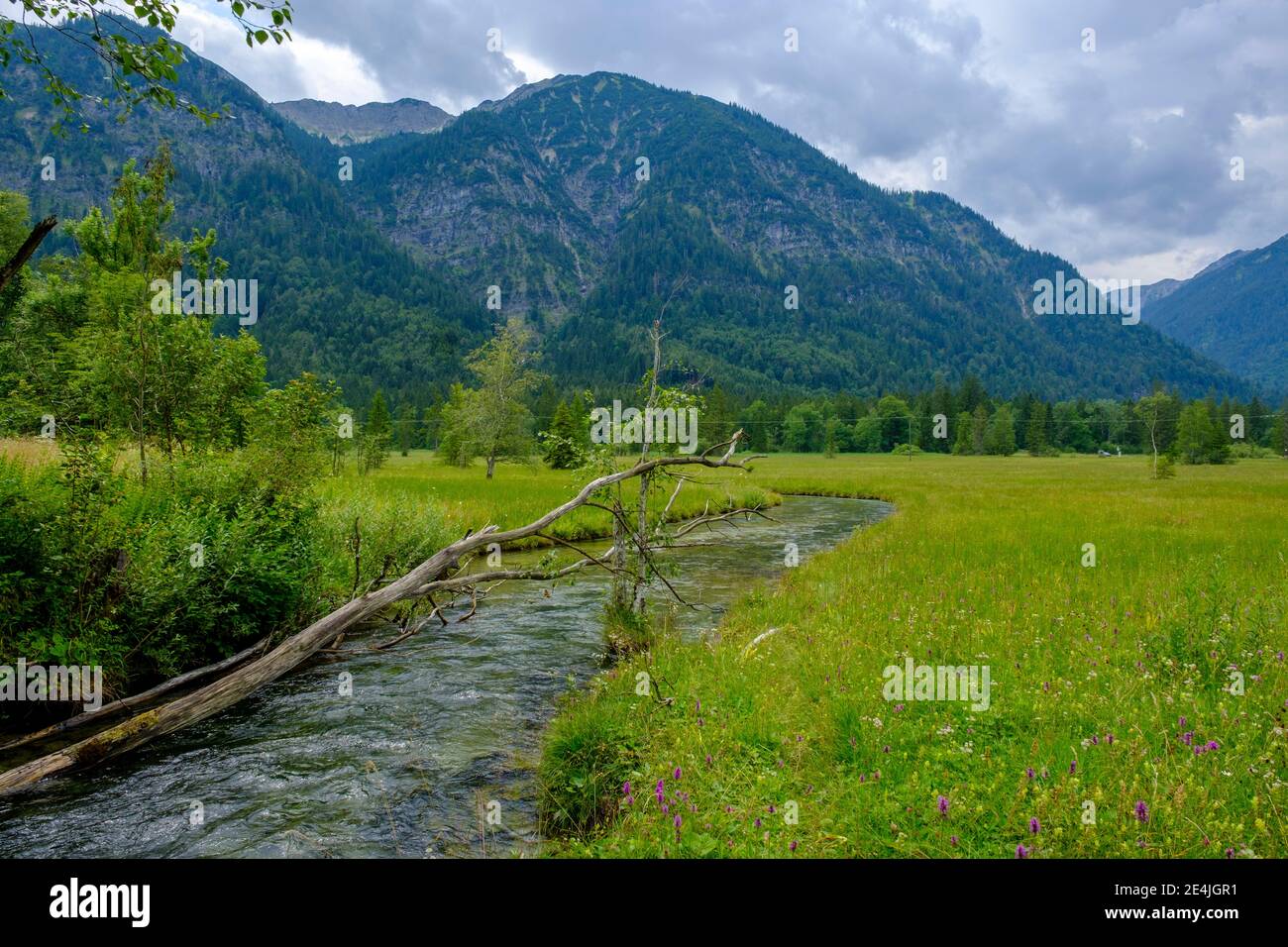 Ammer flowing through Ettaler Weidmoos nature reserve in spring Stock ...