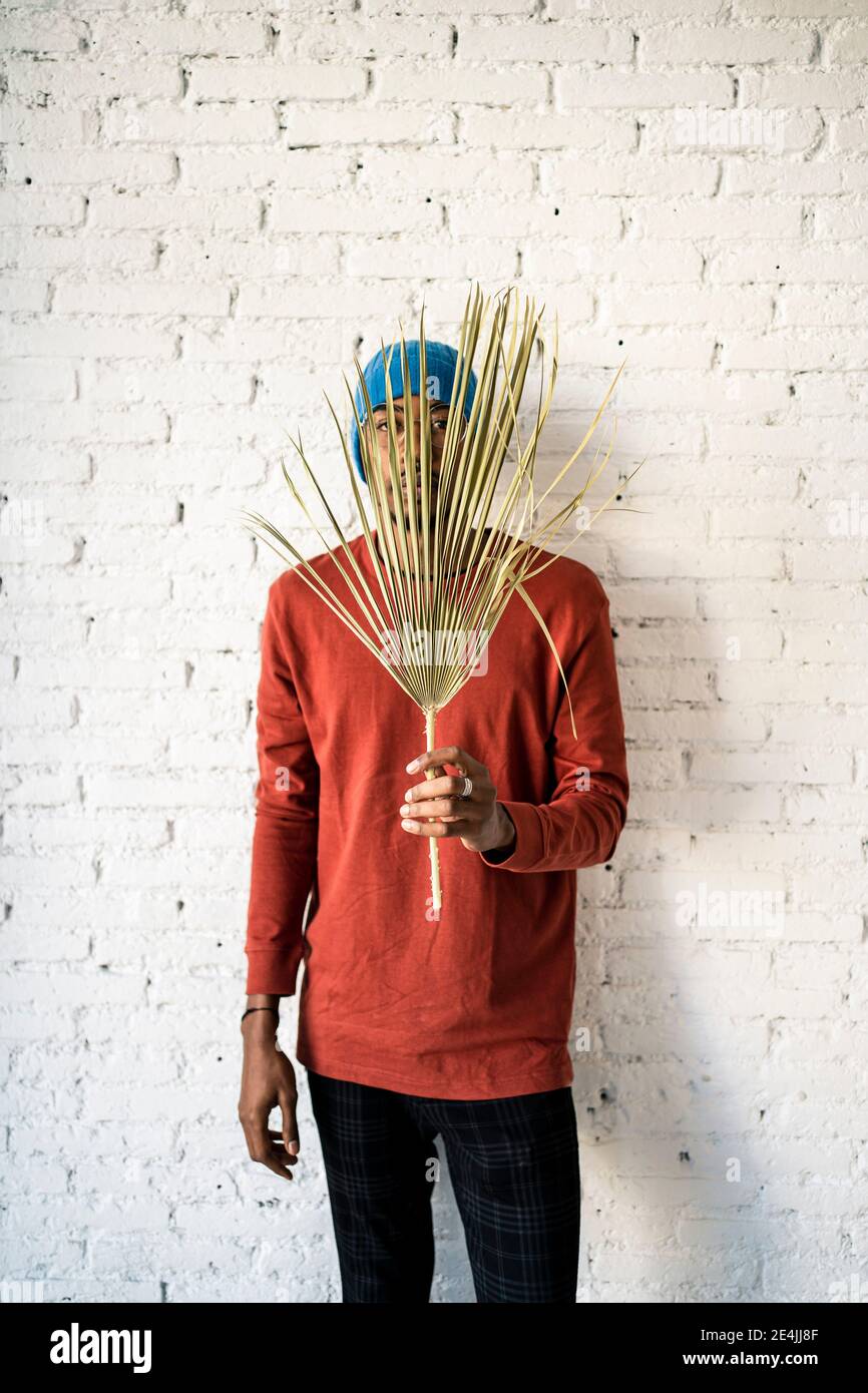 Mid adult man holding twig against white brick wall Stock Photo - Alamy