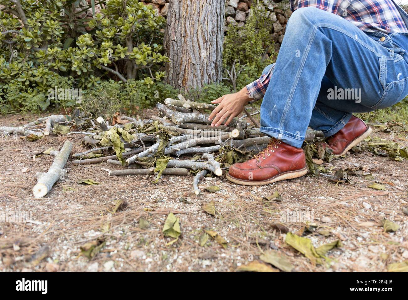 Man collecting firewood Stock Photo - Alamy