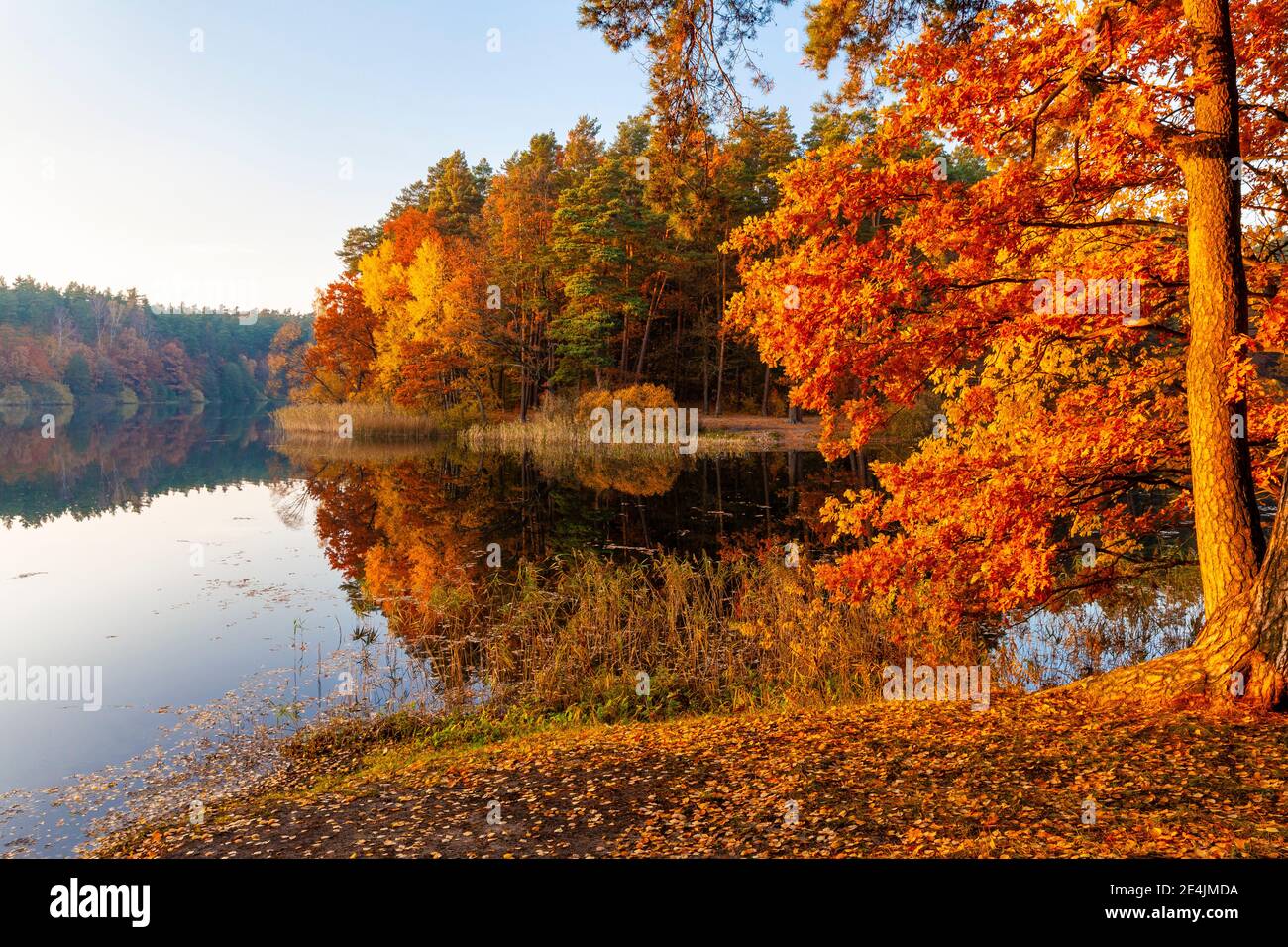 Warmia and Masuria, lake, Poland Stock Photo - Alamy