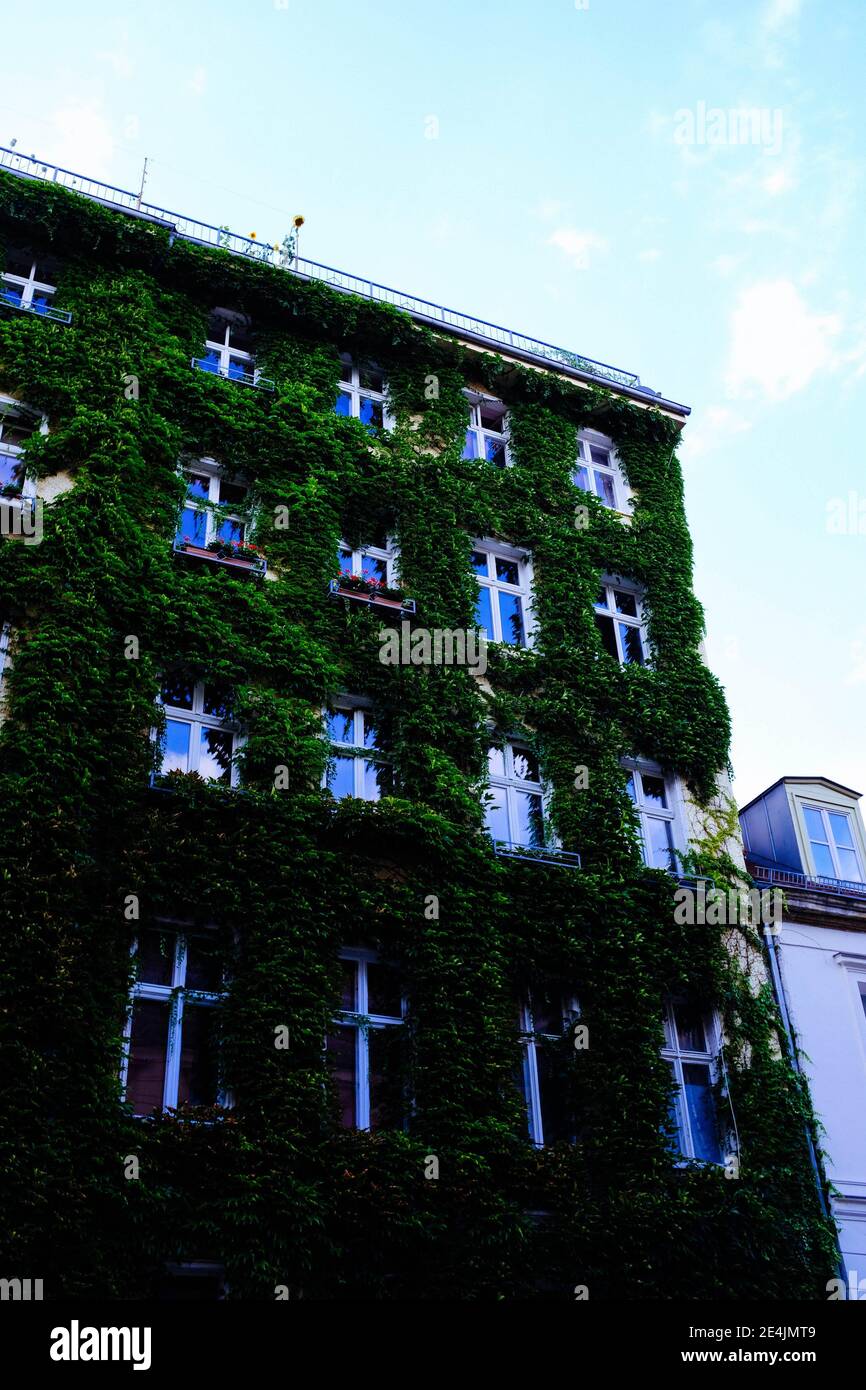 Ivy covered water tower hi-res stock photography and images - Alamy