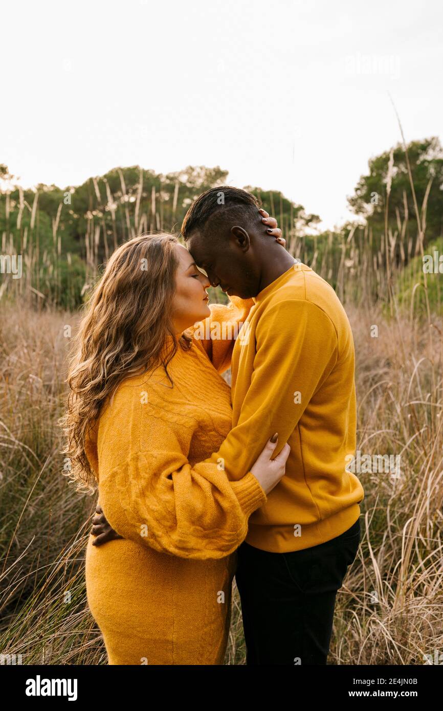 Couple doing romance while standing face to face at forest Stock Photo ...