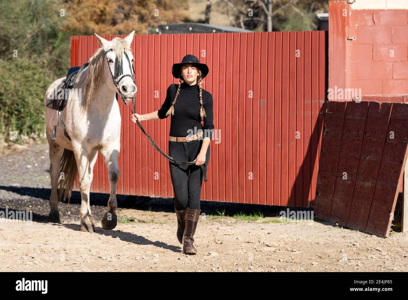 Woman walking with horse in paddock Stock Photo - Alamy