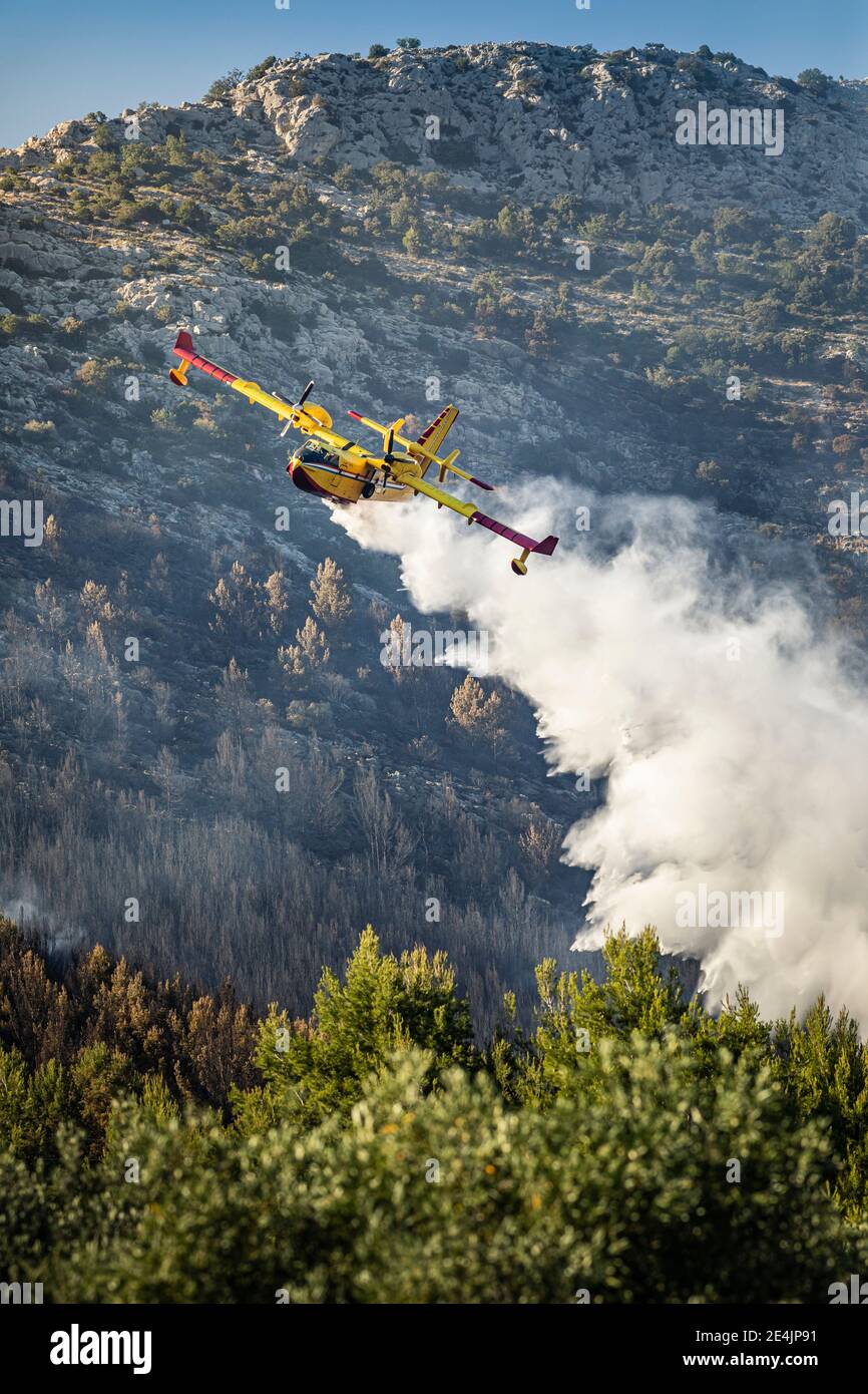 Firefighting airplane pouring water on forest Stock Photo - Alamy