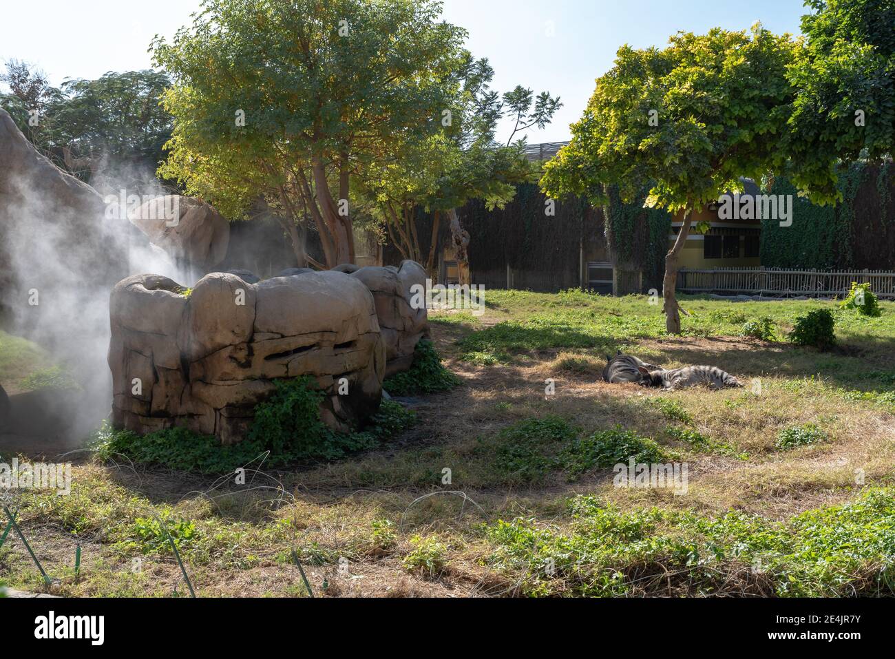 Dubai, United Arab Emirates – January 22, 2021, beautiful Animals in ...