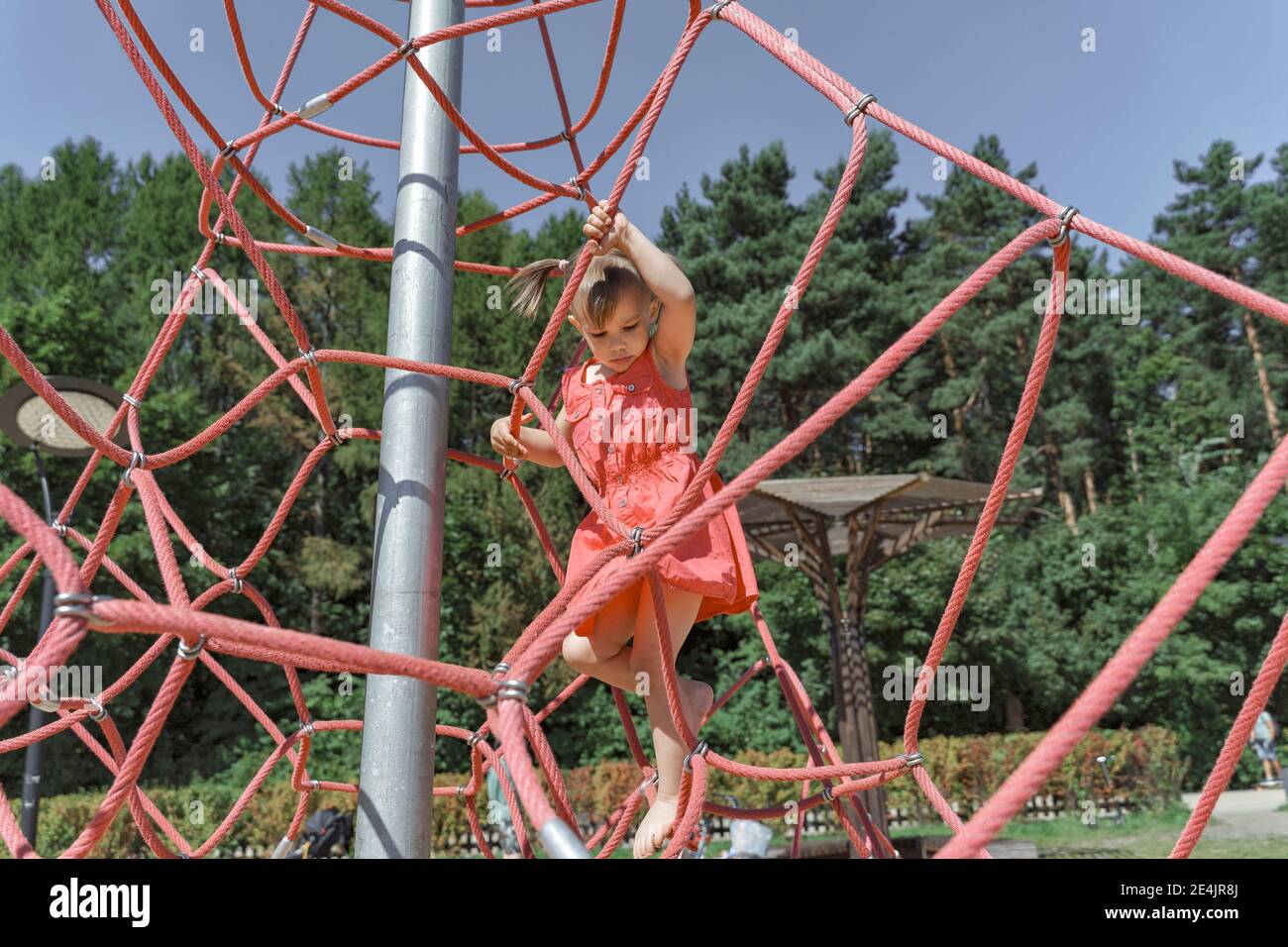 Active young child girl climbing the spider web playground activity ...