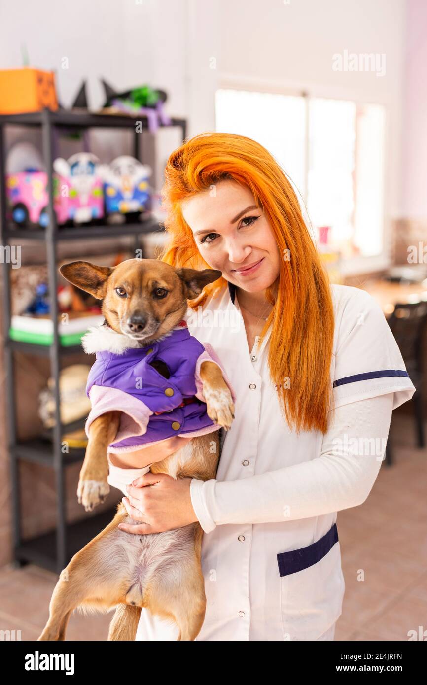 Young female nurse carrying dog at rehabilitation center Stock Photo ...