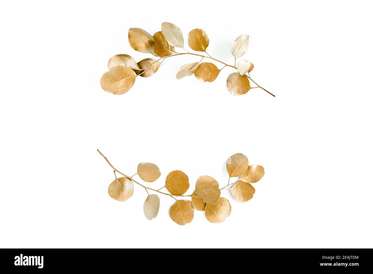 Gold round frame made of gold branches eucalyptus and leaves isolated ...