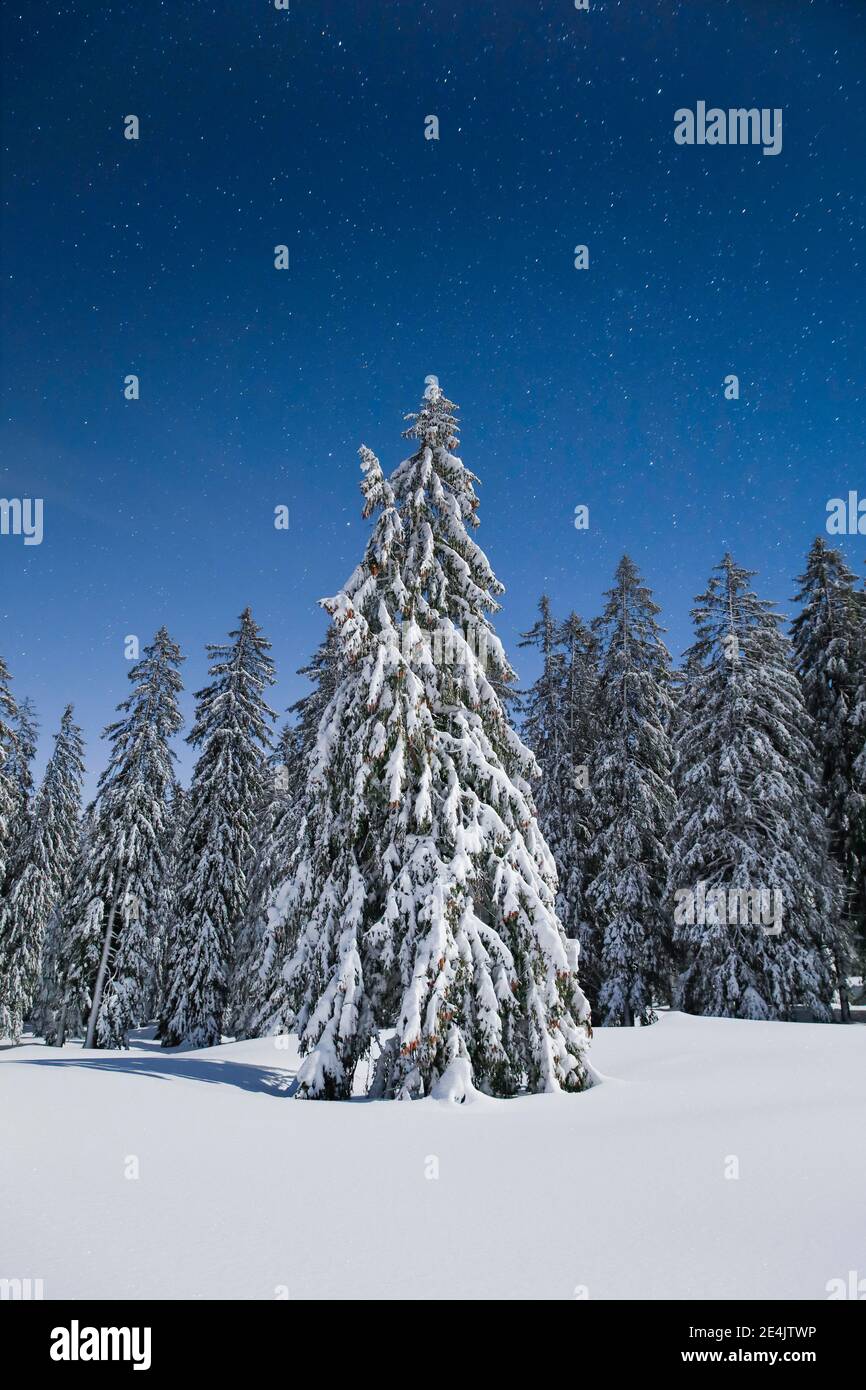 Snow starry blue night sky hi-res stock photography and images - Alamy