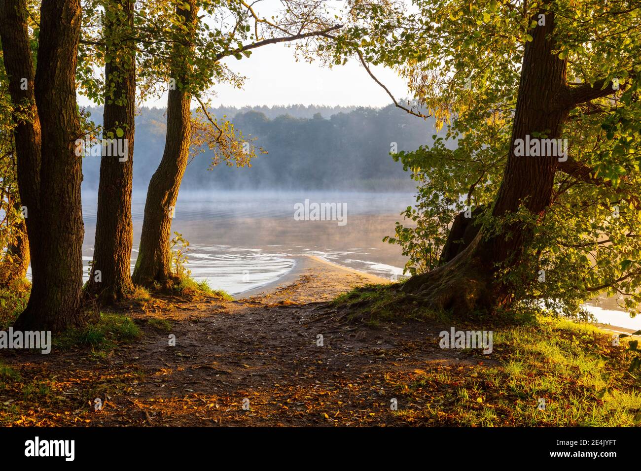 Warmia and Masuria, lake, Poland Stock Photo - Alamy
