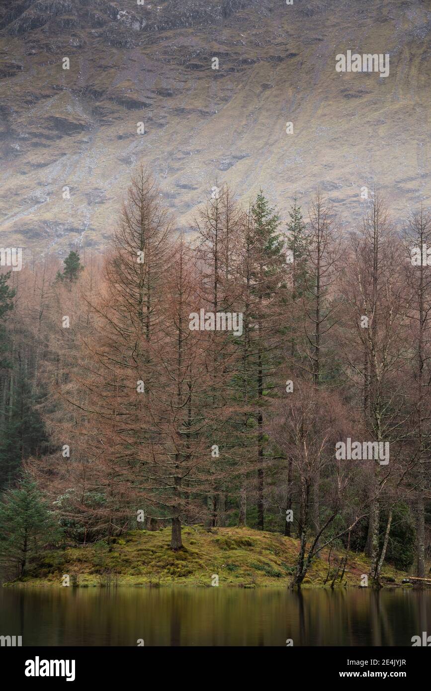 Beautiful landscape image of Torren Lochan in Glencoe in Scottish ...