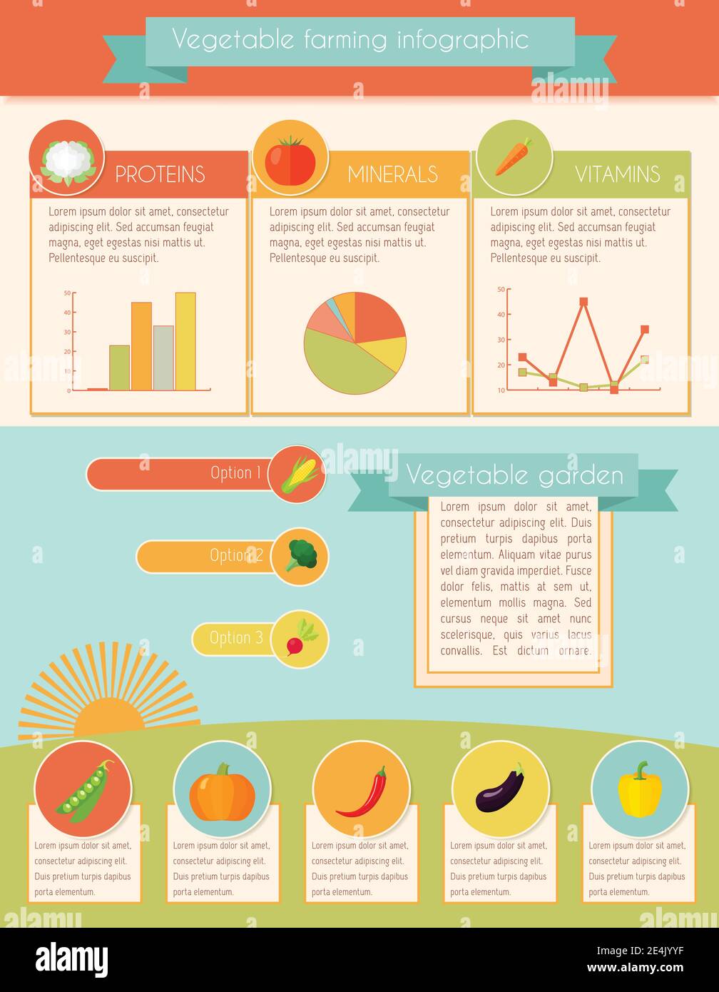 Vegetables garden and farming infographic set with charts vector ...