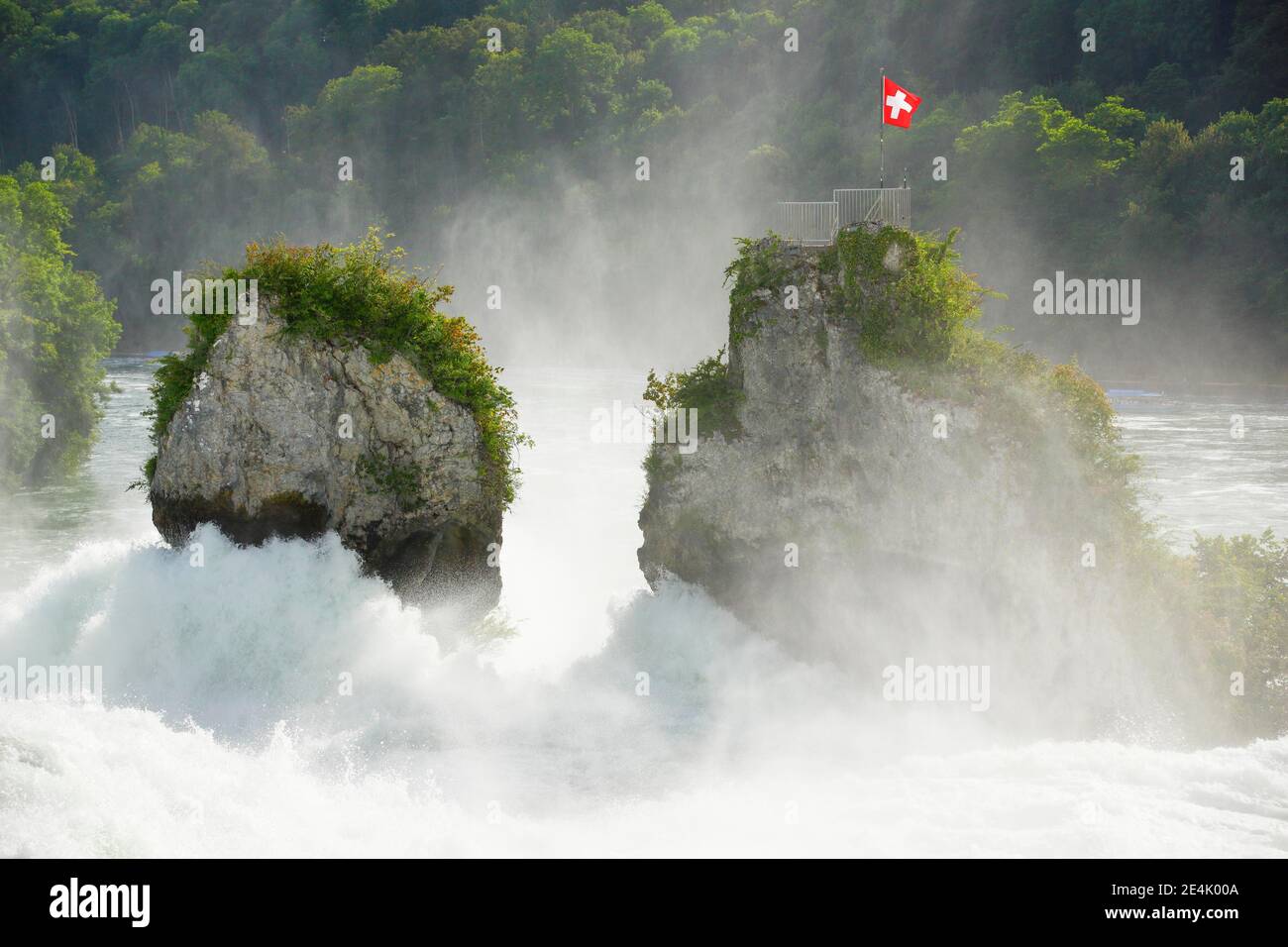 Rhine Falls Rock, Switzerland Stock Photo - Alamy
